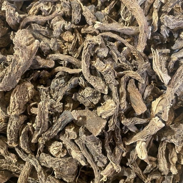 Coleus Root - Sons of Asgard