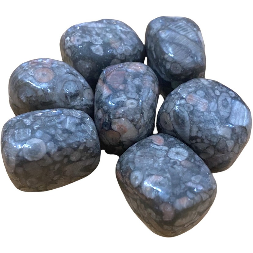 Jasper - Fossil - Tumblestone - Sons of Asgard