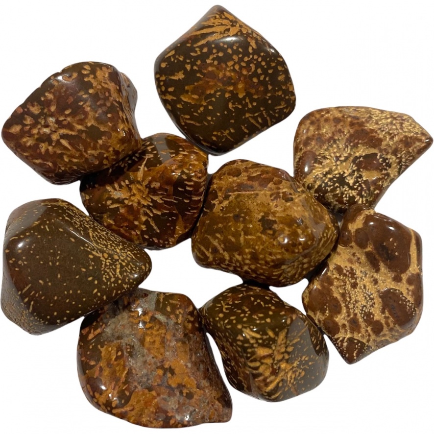 Jasper - Firework - Tumblestone - Sons of Asgard