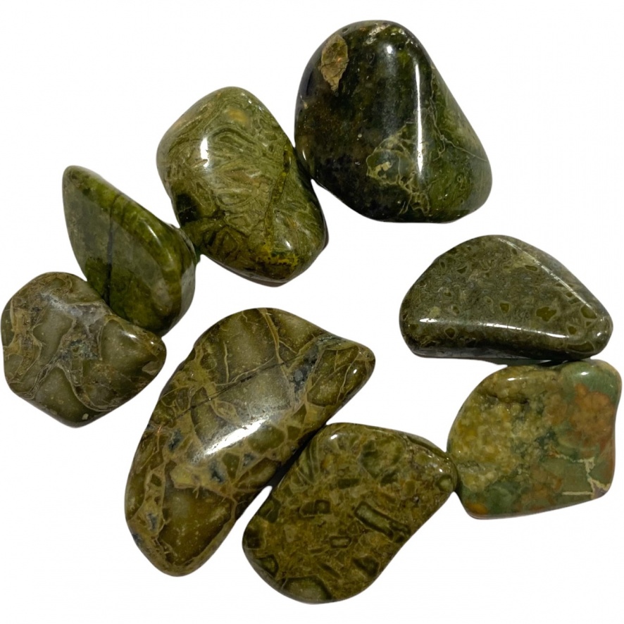 Jasper - Rainforest - Tumblestone - Sons of Asgard