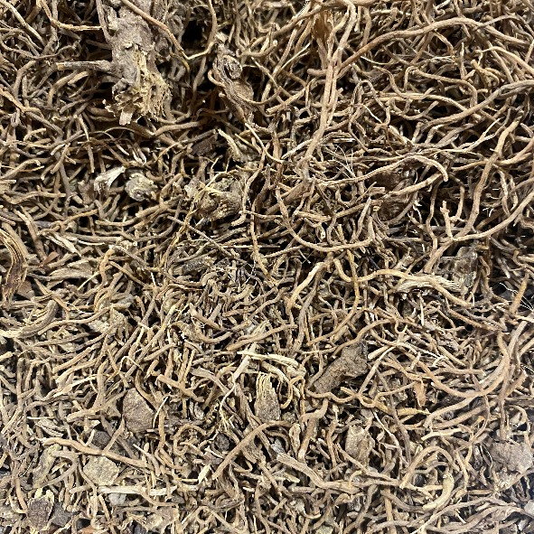 Blue Cohosh Root - Sons of Asgard