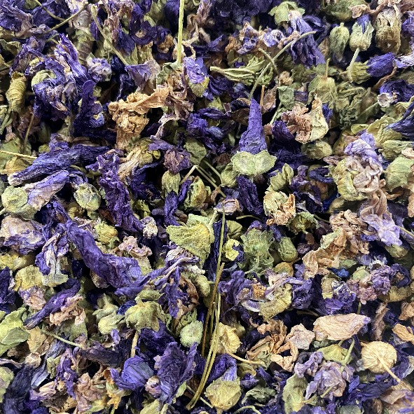 Blue Mallow Flower - Sons of Asgard