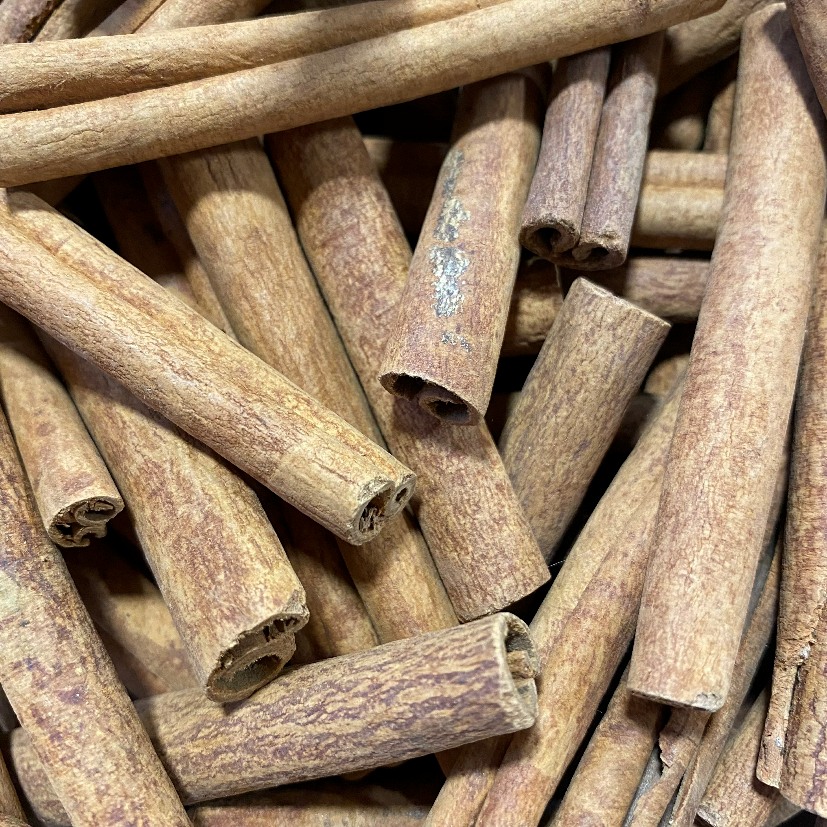 Cassia Quills - Sons of Asgard