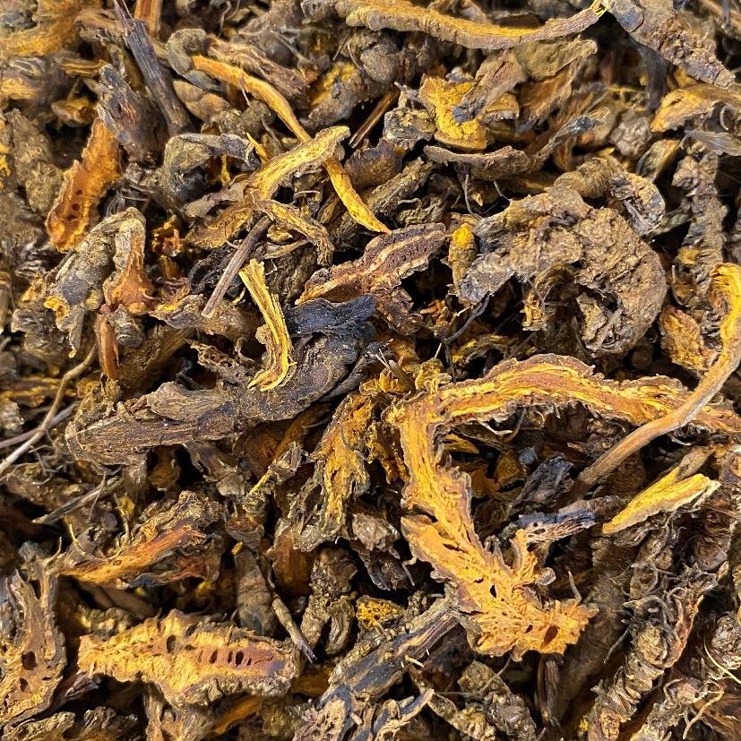 Coptis / Chinese Golden Seal - Sons of Asgard