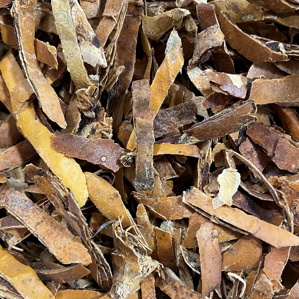 Snake Gourd Peel - Sons of Asgard